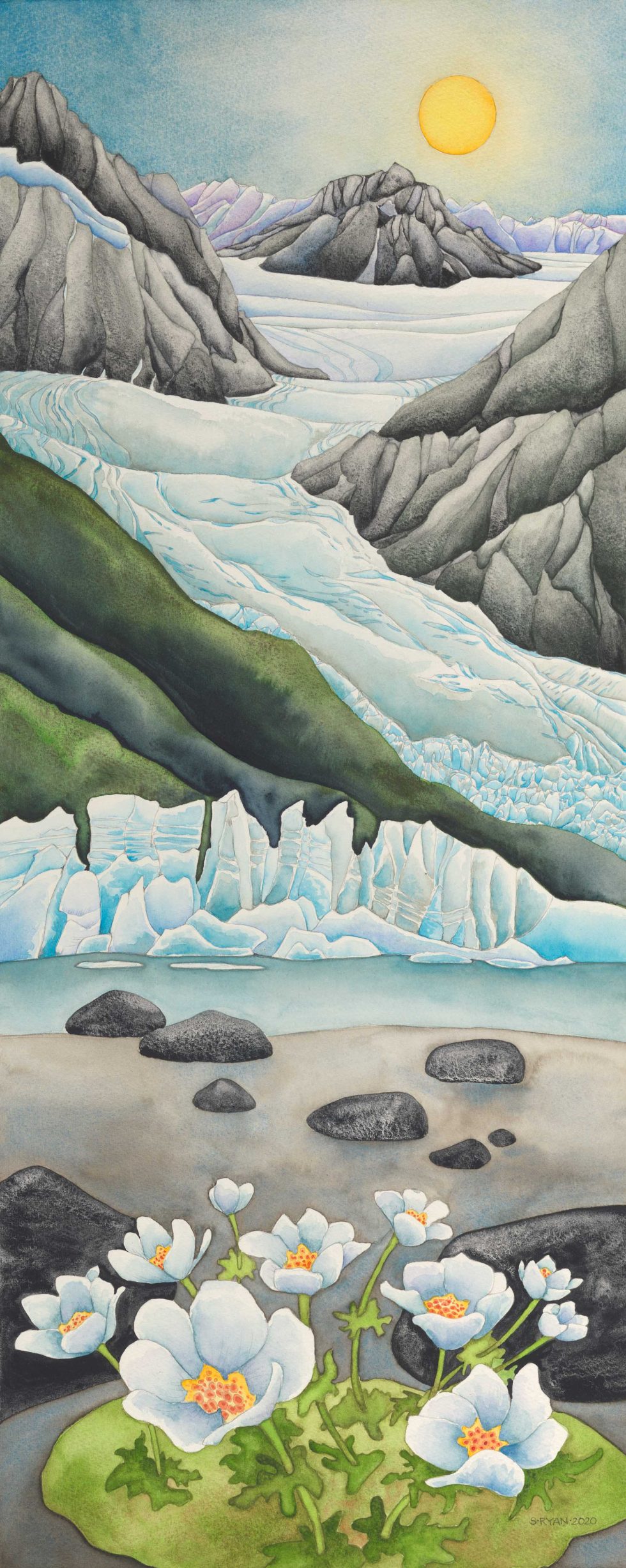 Glacial Flowers, Alaska 10″ x 22″ | Stephanie Ryan Art